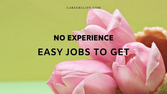 43 Easy Jobs To Get With No Experience But Pay Well CareerCliff 43 Easy Jobs To Get With No Experience But Pay Well CareerCliff